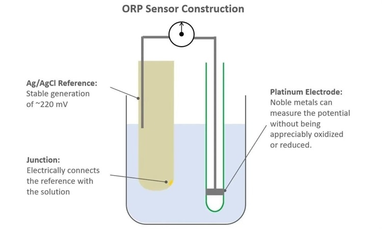 What is Oxidation Reduction Potential and How Do ORP Sensors Work?