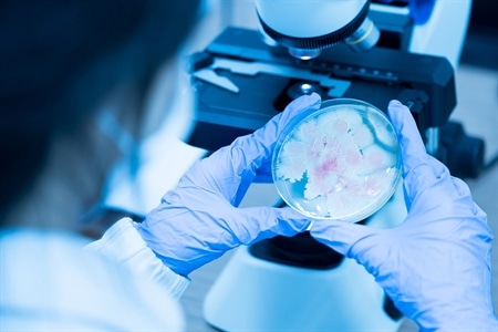 IsoHeat Technology: Enhancing Field Diagnostics Efficiency