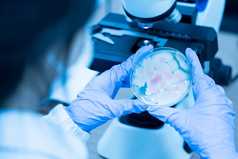 IsoHeat Technology: Enhancing Field Diagnostics Efficiency