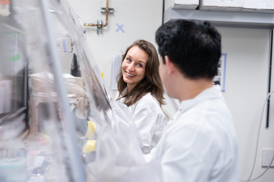 Reprogrammed Bacteroides Track Gut Disruption Non-Invasively