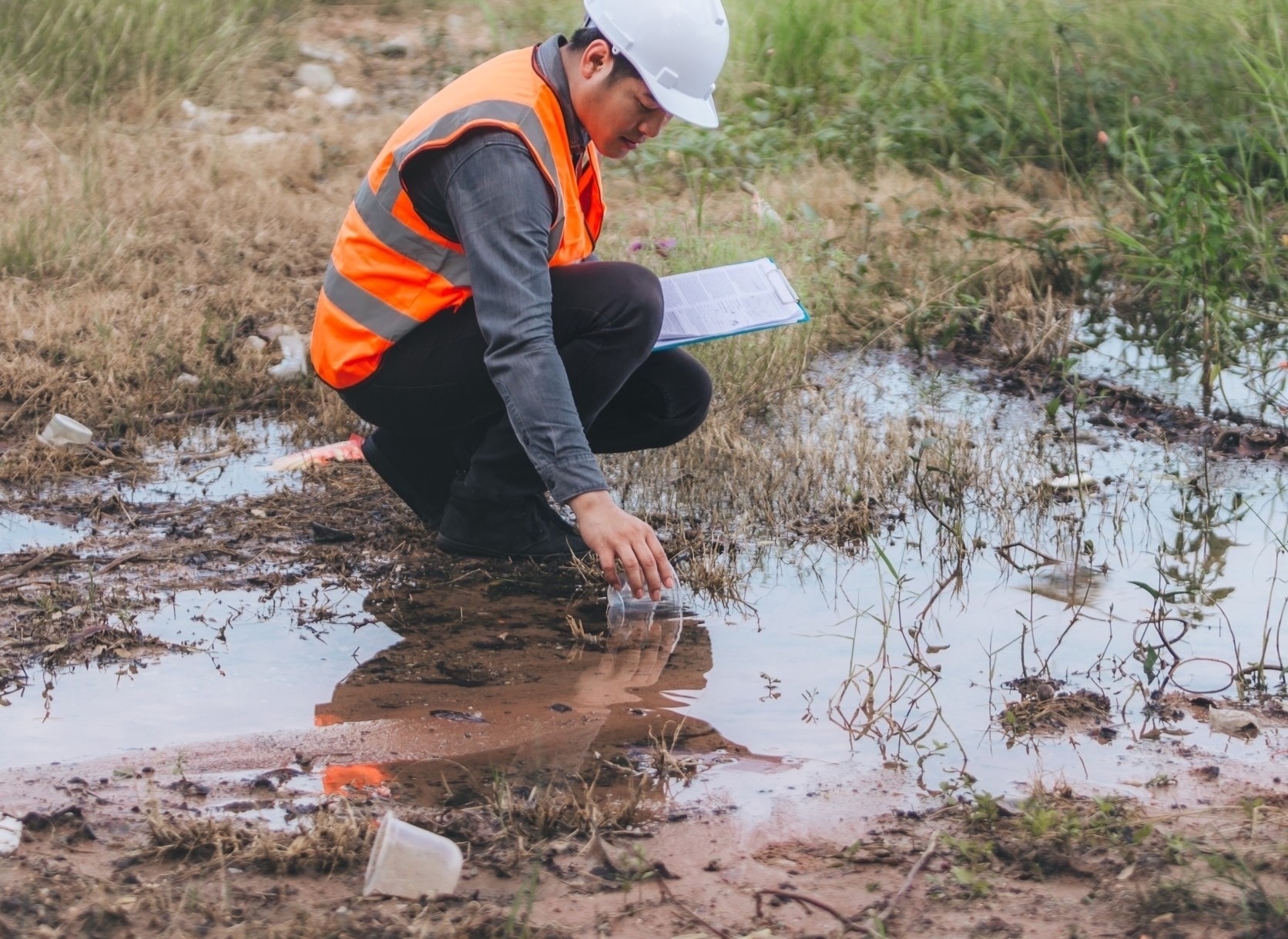 AI And Nanosensors Could Help Track Water Quality In Real Time