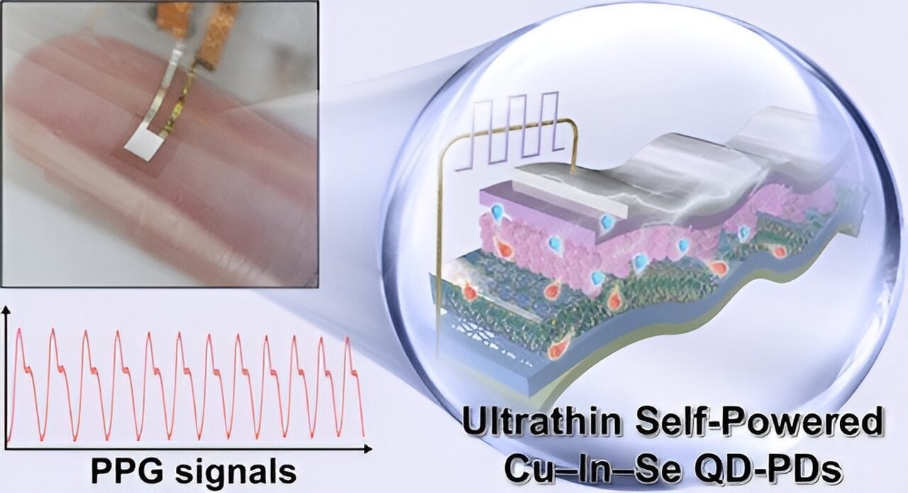 Wearable Pulse Sensor Developed for Health Monitoring